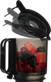 TESLA SlowJuicer SJ770 XXL Deluxe - nízkootáčkový šnekový odšťavňovač