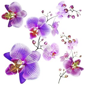 Samolepicí dekorace Orchidej SS 3859 - 30 x 30 cm