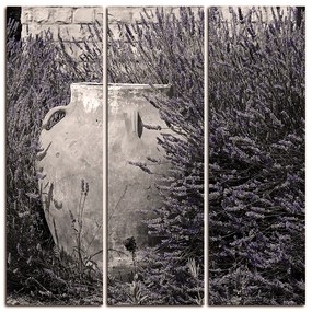 Obraz na plátně - Amfora v levandulovém keři - čtverec 369FB (75x75 cm)