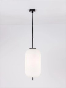 Nova Luce Závěsné svítidlo LATO černý kov a opálové sklo E27 1x12W