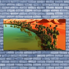akrylový obraz Jezero Poušť Palmy 120x60 cm