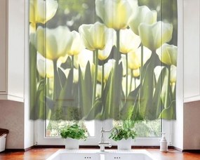 DIMEX | Hotové záclony - kusová fotozáclona Bílé tulipány VO-140-012 | zelená, žlutá | 140 x 120 cm