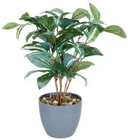 XXXLutz UMĚLÁ ROSTLINA bonsaj Ambia Home - Umělé rostliny - 0032850053