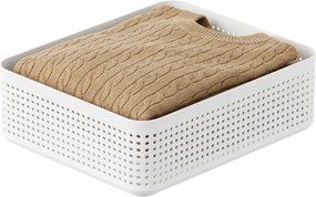 Rotho Úložný box do šuplíku, šatní organizér LISORA EXTRA LARGE, 31 x 25,8 x 10 cm