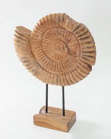 Dekorace Fossil 45 cm