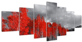 Obraz - Stromy v barvě podzimu (210x100 cm)