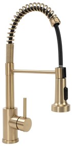 REA-B4821 - Dřezová baterie s vytahovací sprškou COLIN 42,5 cm broušená zlatá REA-B4821