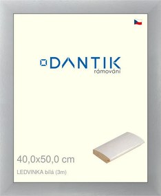 DANTIK rámeček 40x50 | LEDVINKA bílá (Plexi Čiré)
