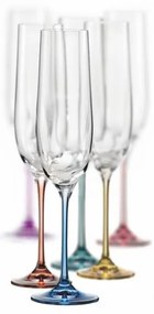 Crystalex - Bohemia Crystal Sklenice na šampaňské Viola Spectrum 190 ml, 6 ks (mix barev)