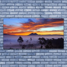 akrylový obraz Stromy Mlha Krajina 120x60 cm