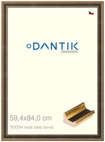 DANTIK rámeček 59,4x84 | TOOTH malá zlato černá (Plexi Čiré)