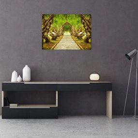 Skleněný obraz - Živý tunel z plumérií (70x50 cm)