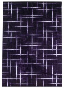 Kusový koberec Costa 3521 lila 120 x 170 cm