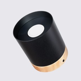 Sollux Lighting Stropní svítidlo RIF černé