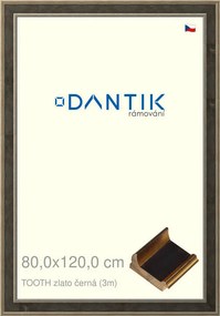 DANTIK rámeček 80x120 | TOOTH zlato černá (Plexi Čiré)