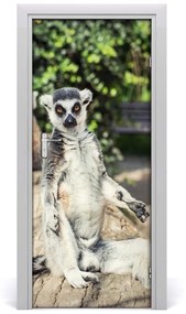 Samolepící fototapeta na dveře Lemur 75x205 cm