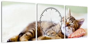 Obraz - Spící kotě (s hodinami) (90x30 cm)