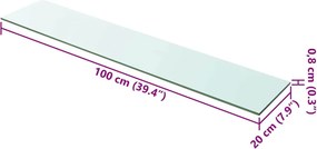 Policové desky 2 ks sklo čiré 100 x 20 cm 3051584