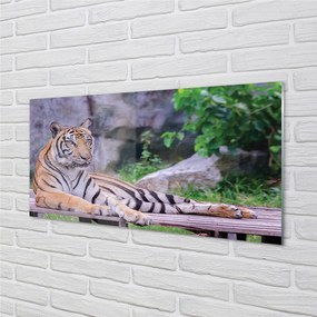 akrylový obraz Tiger v zoo 140x70 cm