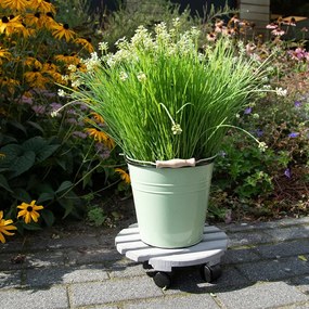 Dřevěný pojízdný podstavec pod květináč ø 29 cm (výška 8 cm) Indoor &amp; Outdoor – Esschert Design
