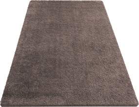DY Hnědý neklouzavý koberec shaggy Camel Rozměr: 60x100 cm