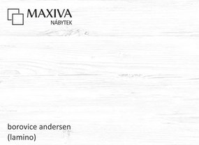 MAXIVA Konferenční stolek - RENE RL105, borovice andersen