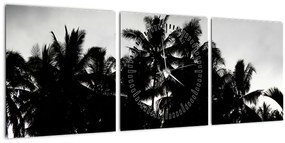 Obraz černobílý - palmy (s hodinami) (90x30 cm)