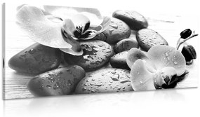 Obraz kouzelná souhra kamenů a orchideje v černobílém provedení