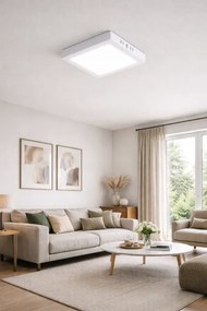 ECOLIGHT Stropní svítidlo, přisazené LED stropní svítidlo, 18W, 4000K, bílé, do obývacího pokoje