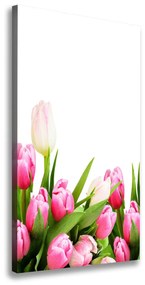 Wallmuralia Vertikální Foto obraz na plátně Růžové tulipány 50x100