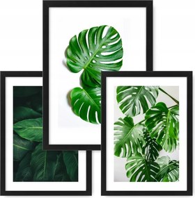 Sada 3 obrázků A3, plakáty, Monstera rámeček ikea #43