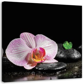 Obraz na plátně Zenová orchidej Květina - 60x60 cm