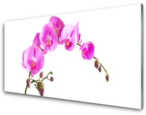 akrylový obraz Květiny Rostlina Příroda 120x60 cm