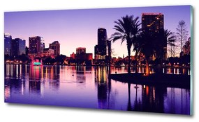 Wallmuralia Fotoobraz na skle Orlando USA 100x50