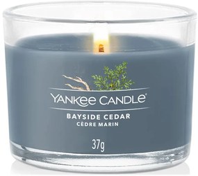 Yankee Candle –  votivní svíčka ve skle Bayside Cedar (Pobřežní cedr), 37 g