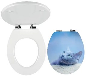 Novaservis Prestige - WC sedátko, MDF, Softclose, bílá/barevný potisk WC/SOFT3D