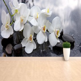 Fototapeta Orchidejové kameny 104x70