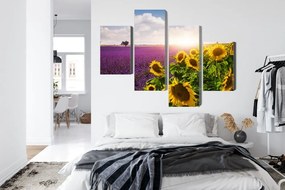 Vícedílný obraz Levandulová A Slunečnicová Pole 3D Nedostatek Nedostatek Přírodní plátno 240x150