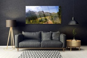 Plexisklo-obraz Hala Góry Droga Natura Łąka 120x60 cm