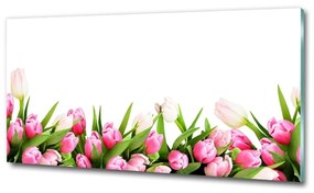 Wallmuralia Foto obraz sklo tvrzené Růžové tulipány 100x50