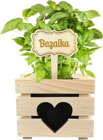 AMADEA Dřevěný zápich - cedulka na bylinky Bazalka, výška 20 cm, český výrobek