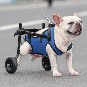 PEPU Invalidní vozík pro psa nastavitelný, Barvy S
