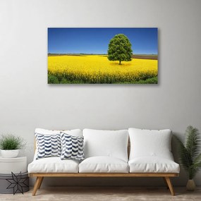 Obraz na plátně Louka Strom Příroda Pole 120x60 cm