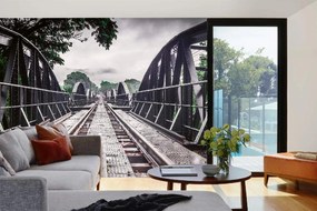 DIMEX | Samolepicí vliesová fototapeta na zeď Kovový most River Kwai MA-5-2864 | 375 x 250 cm | zelená, černá, šedá