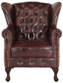 furniture-nabytek.cz - Křeslo Aberdeen z pravé hovězí kůže