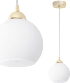 Závěsné svítidlo Eliza, 1x bílé skleněné stínítko, g