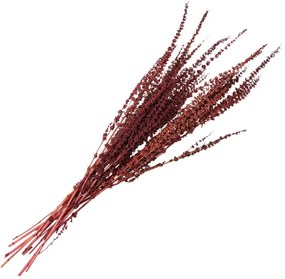 Sušené květy červené 85 cm (100 gr) – 85 cm