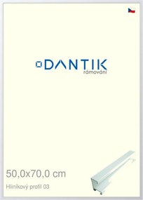 DANTIK rámeček 50x70 | ALU profil 7003 Bílá matná (Plexi Čiré)