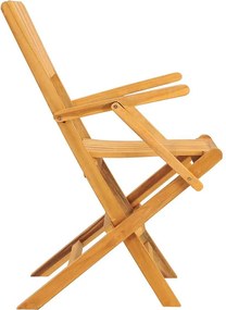 Skládací židle 4 ks 55x62x90 cm masivní teak 3155067