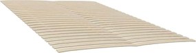 Náhradní lamely k posteli s 48 lamelami 2 ks 80x200 cm 3203724